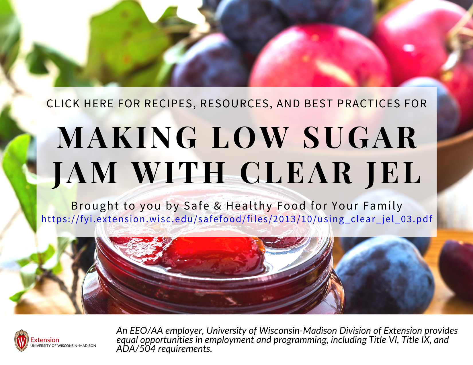 Making Low Sugar Jam with Clear Jel – Extension Winnebago County