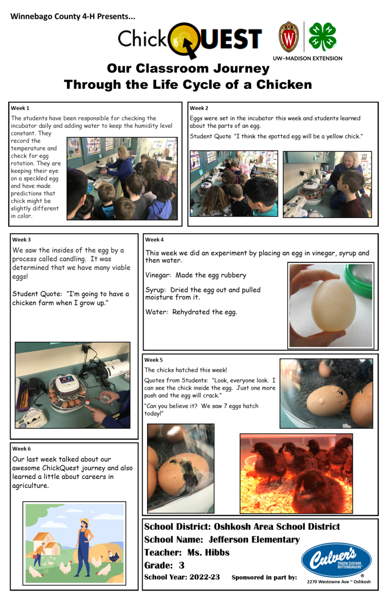 ChickQuest – Extension Winnebago County
